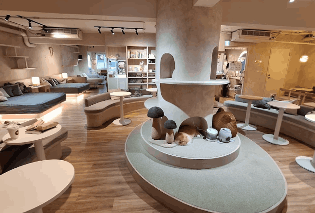 【台北桌遊店包廂可選】10大高CP值台北桌遊店推薦